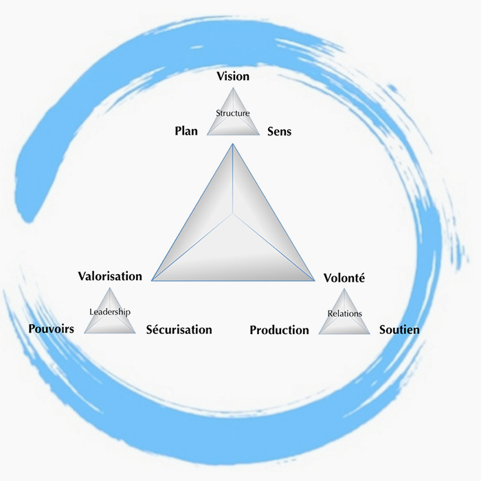 The diagnostic DRSO® is an on-line 360° audit
